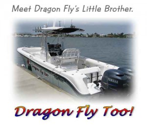 The Boat | Dragonfly.com